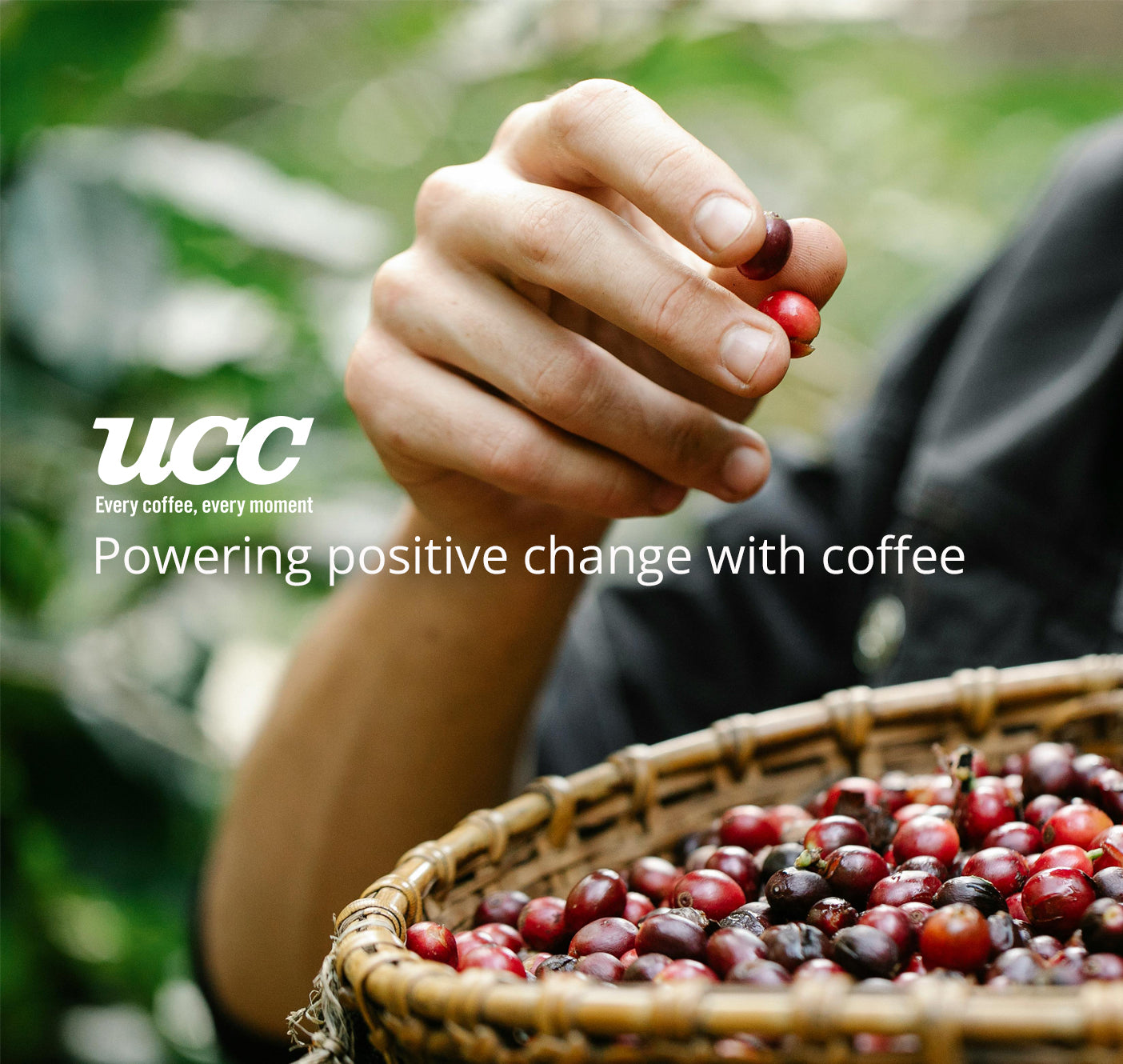 UCC Coffee Philippines – UCC Coffee PH