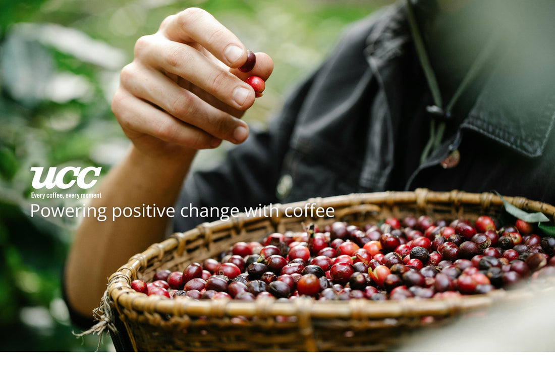 UCC Coffee Philippines – UCC Coffee PH